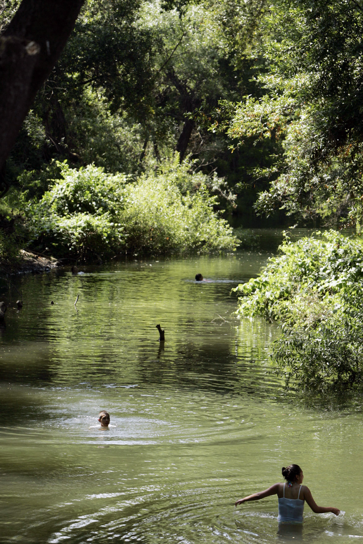 Is it safe to swim in the Napa River? | News | napavalleyregister.com
