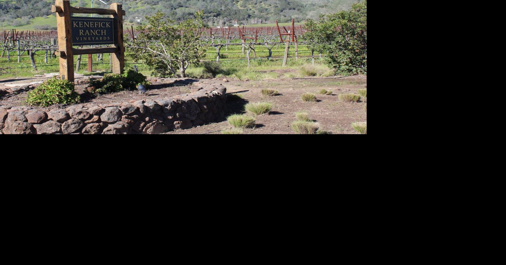 Napa County approves Kenefick Ranch winery near the Calistoga Palisades ...