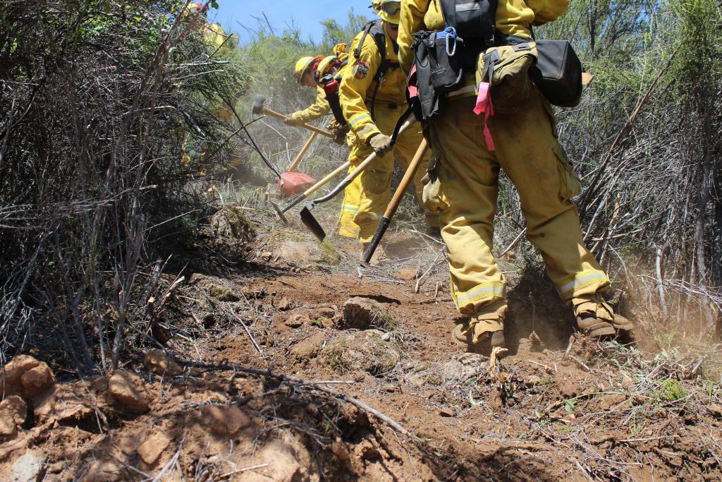 Cal Fire crews participate in training exercises | The Weekly ...
