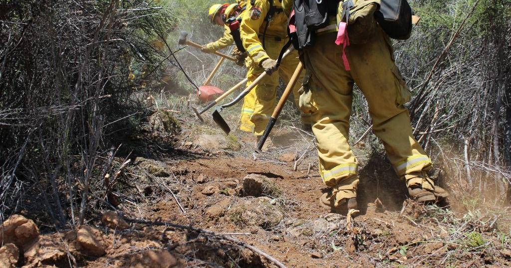 Cal Fire crews participate in training exercises | News ...