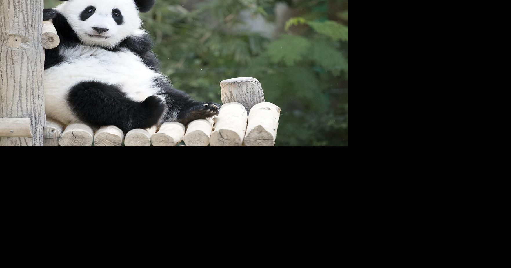 Photos: Associated Press Photos of the Week