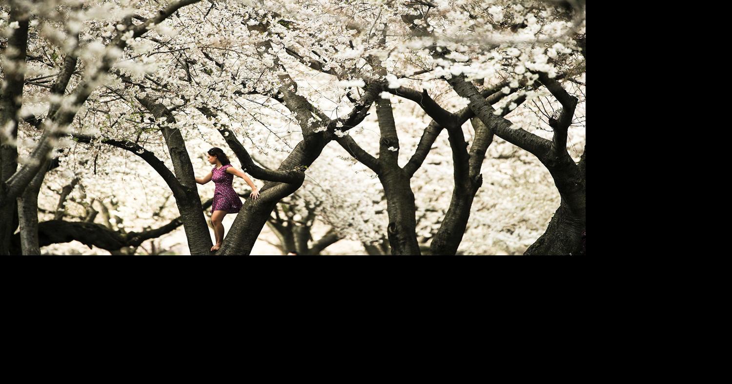 Photos: Associated Press Photos of the Week