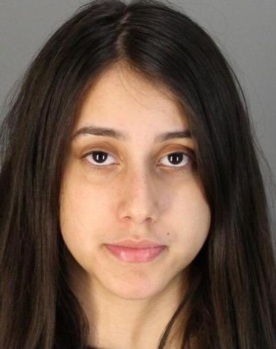 Suspects in Napa double murder face arraignment | Crime & Courts ...