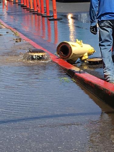 Geyser gushes from broken hydrant | News | napavalleyregister.com