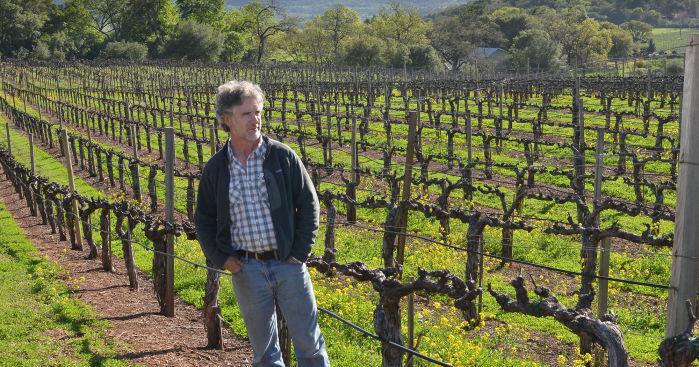 Farella vineyard and winery celebrates 30-year anniversary | Business ...