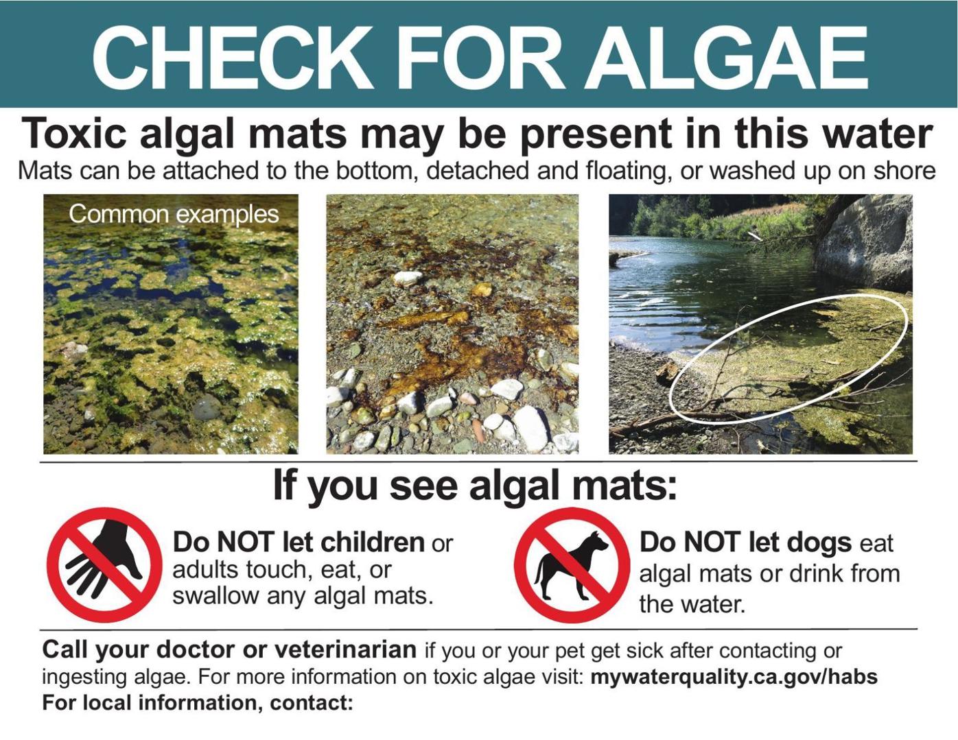 do not touch in russian