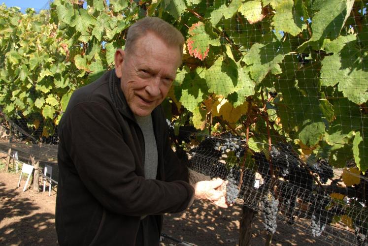 Father William and son Will run Napa’s Jarvis Estate