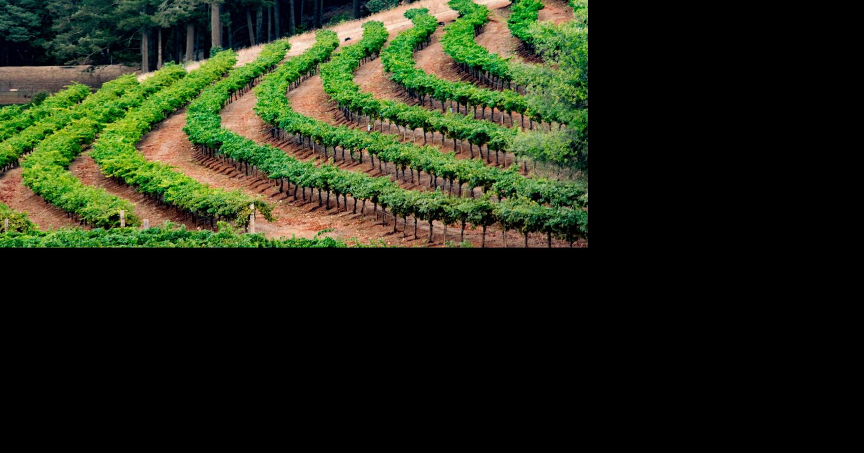 Napa court won't let other wineries join Hoopes legal battle | News ...