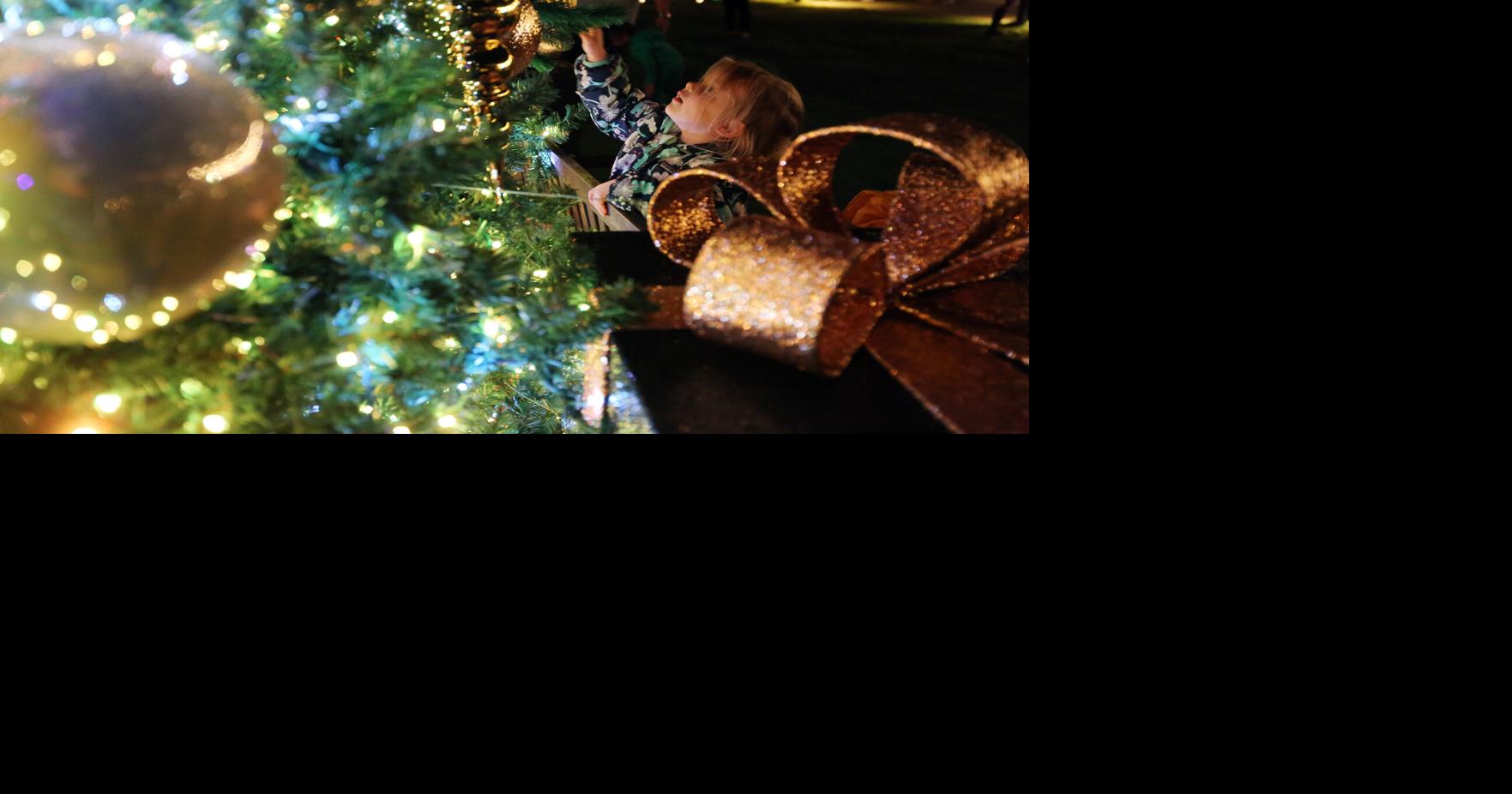 Photos: Meritage tree lighting and holiday celebration in Napa | News ...