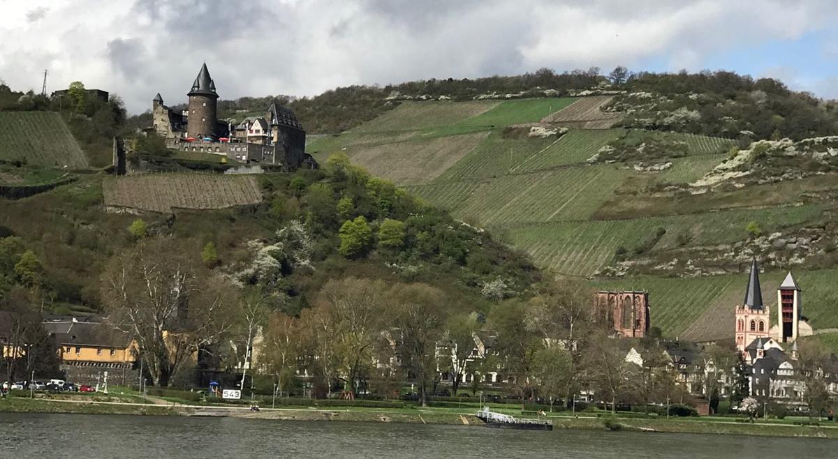 Savoring Rieslings along the Rhine and Mosel rivers | Wine ...
