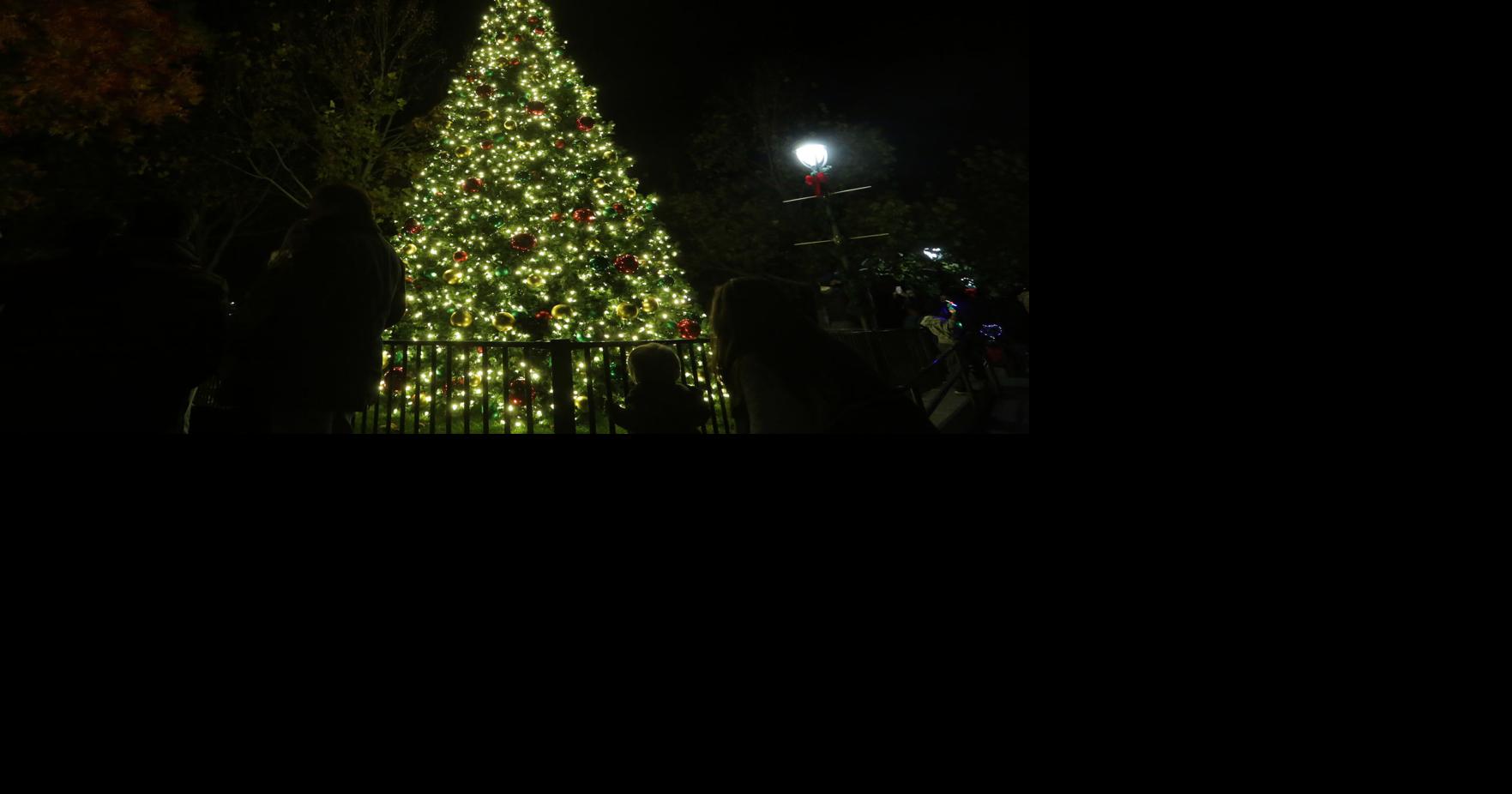 Napa to host downtown tree lighting Wednesday night | News ...