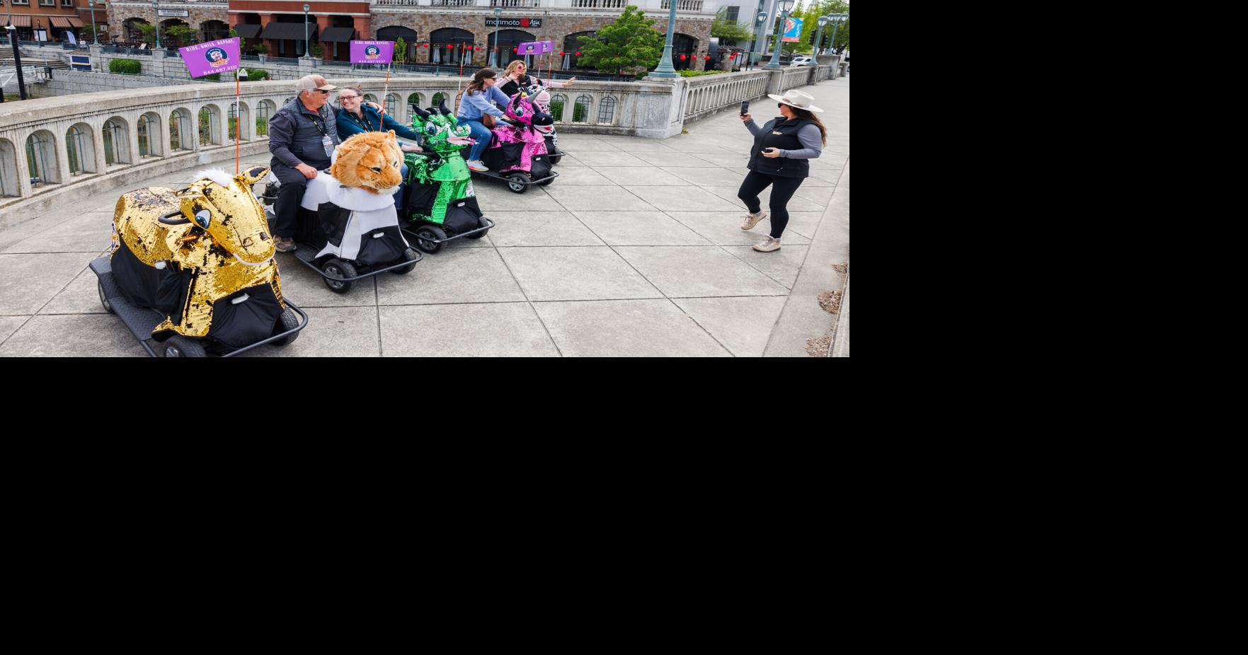 Napa Valley Rydables offer a new way to roll through Napa | Business ...