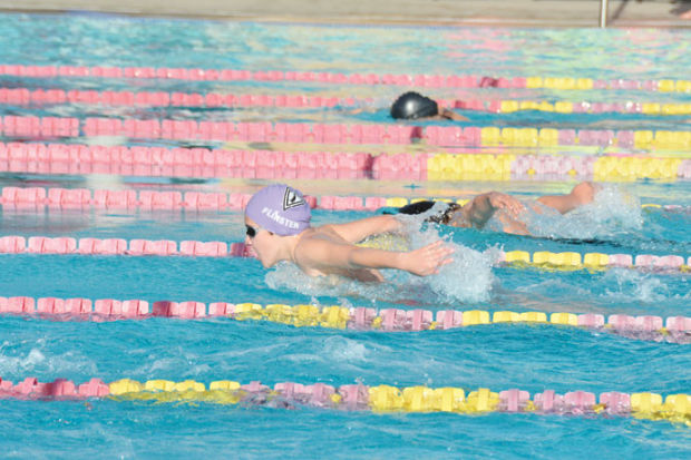 Youth Swimming: Wine Country Aquatics of Napa