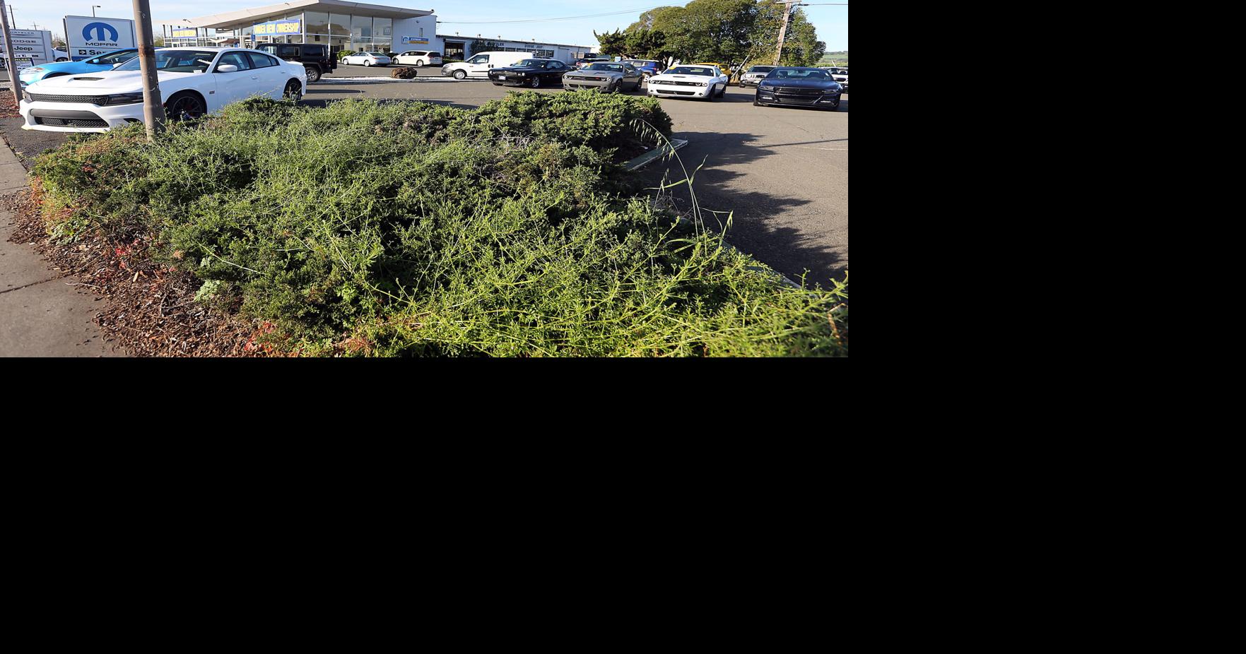 Napa's Gasser Foundation sells part of Soscol parcel for $13.05 million ...