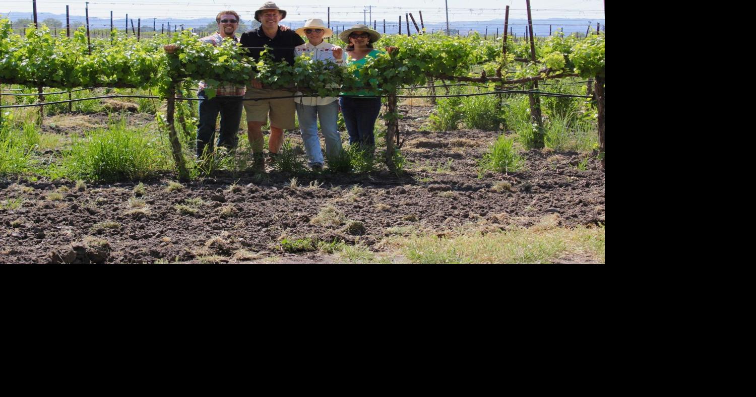 Vintner Tony Cartlidge’s second act | St. Helena Star ...