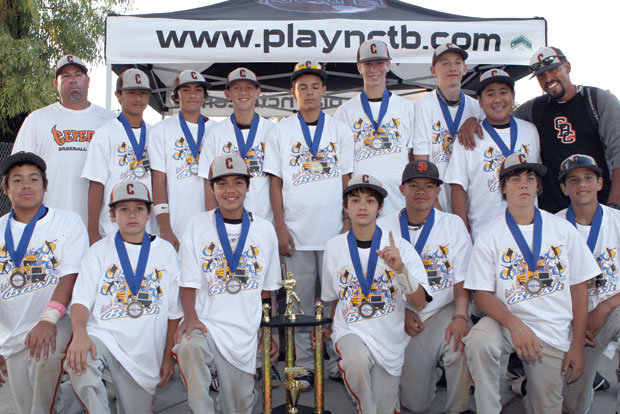 Bulls stampede to baseball tourney title