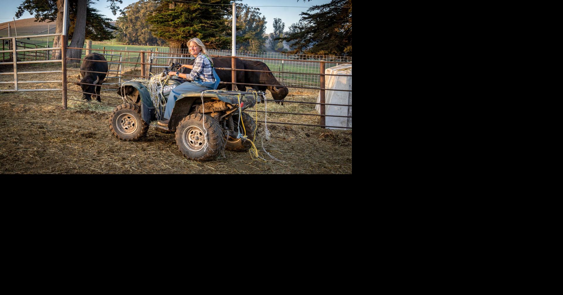 Ramini mozzarella — keeping a dream alive | Food & Drink ...