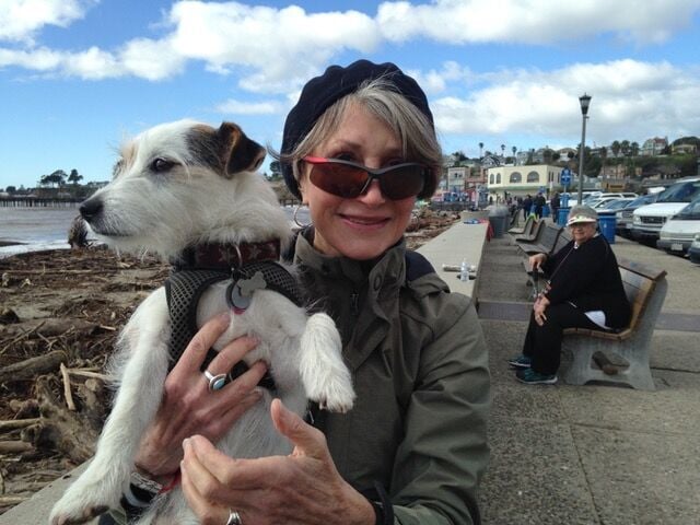 The Climate Connection: Voices for the earth