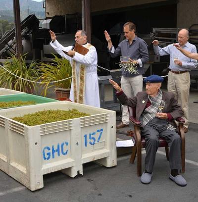39th annual Blessing of the Grapes at Grgich | St. Helena Star ...