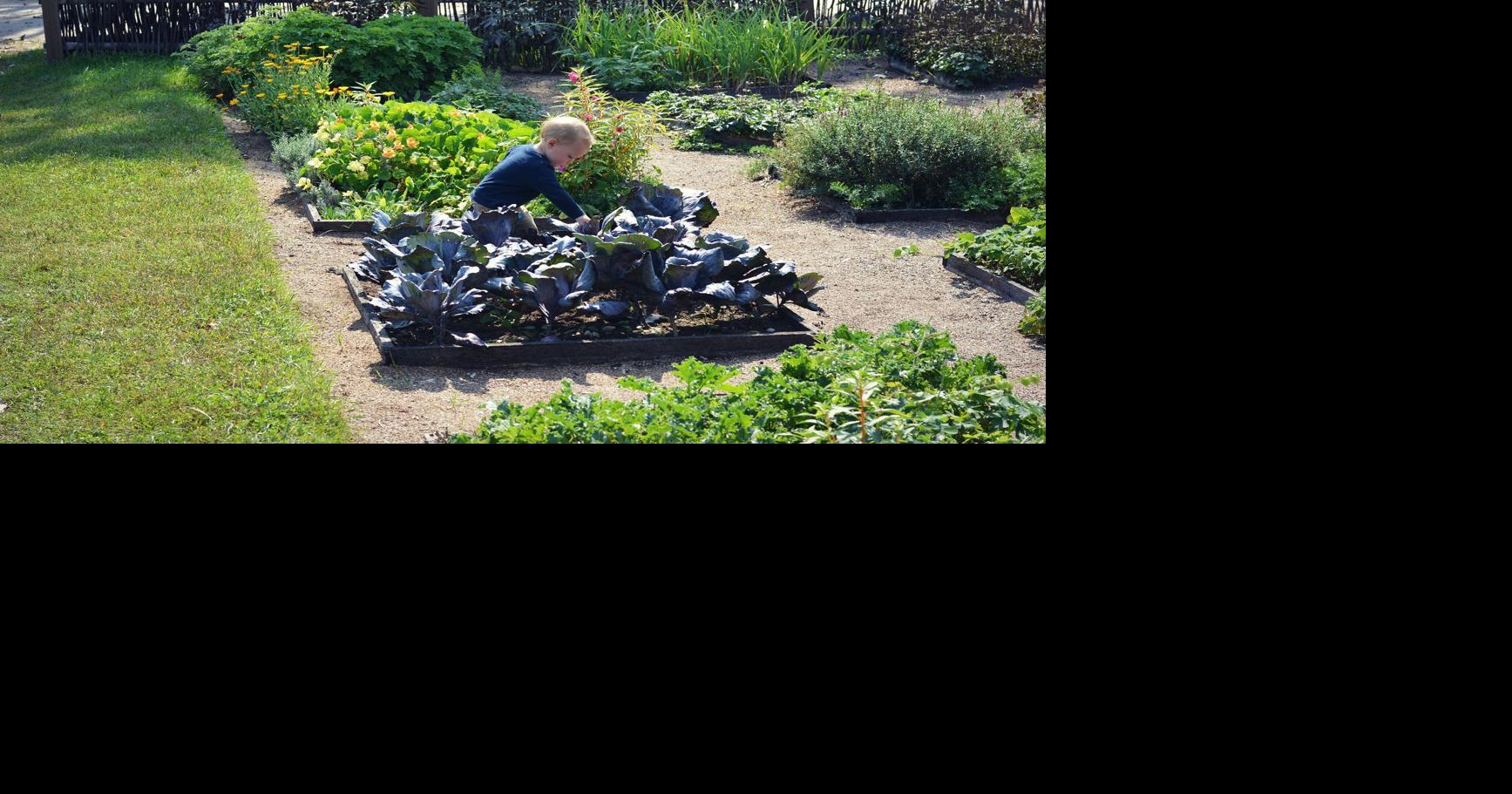 Master Gardeners: Save water with French intensive gardening | Home ...