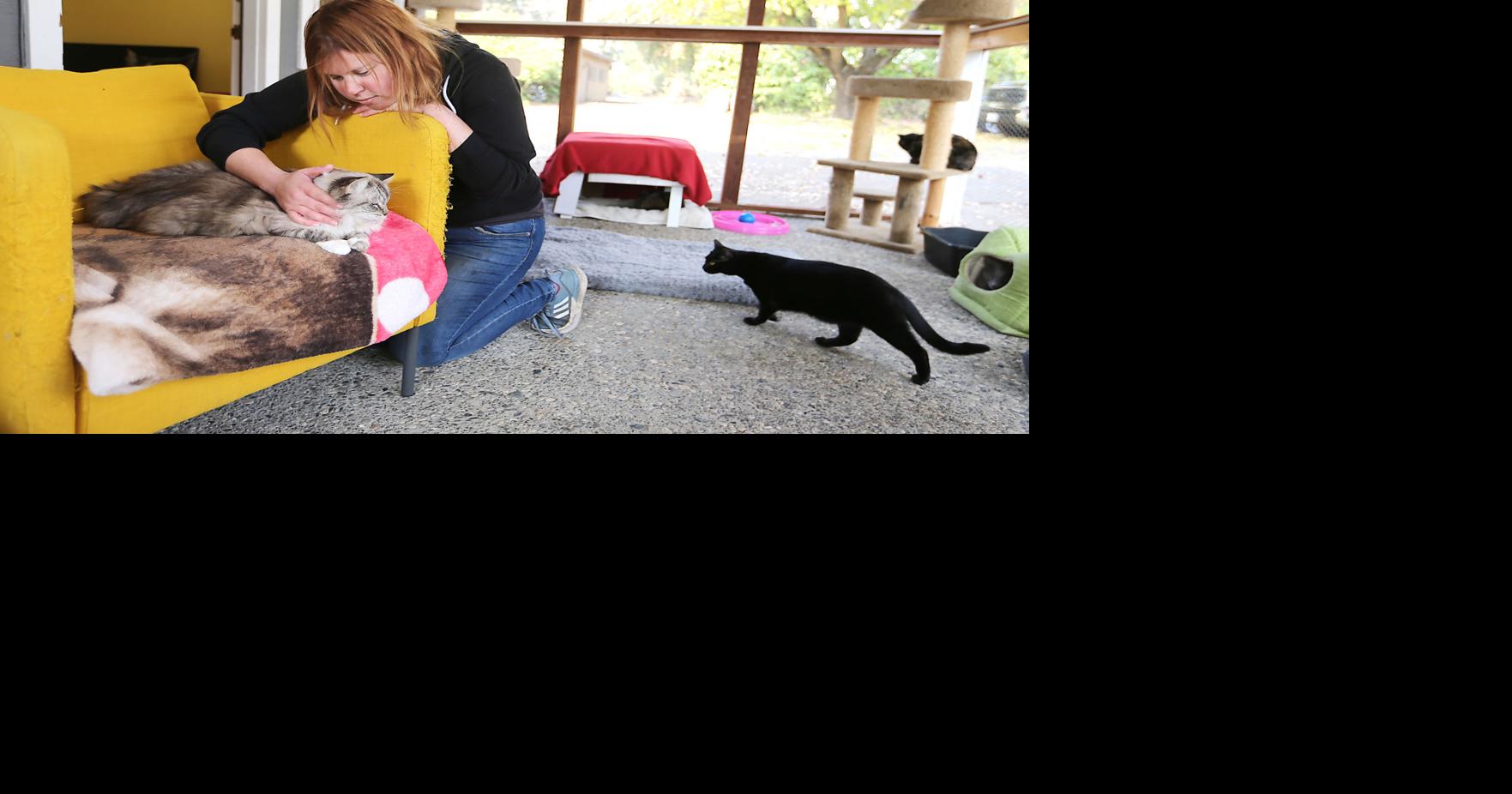 Napa's Jameson Animal Rescue Ranch moves to greener pastures | Business ...