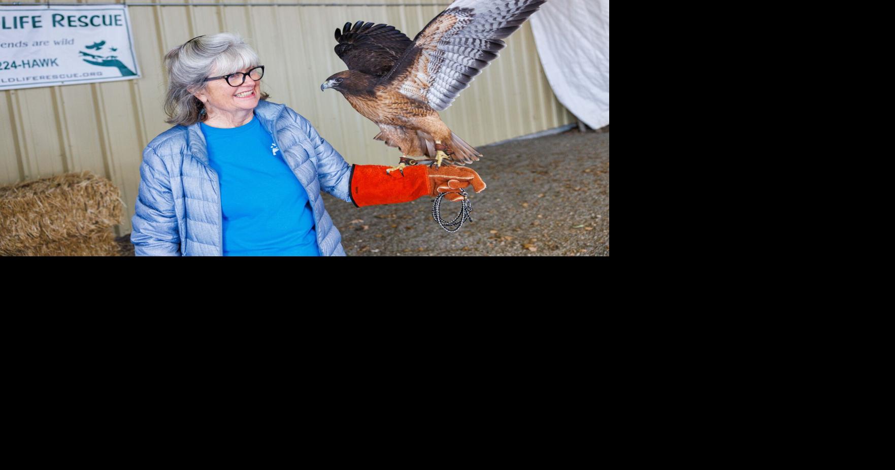 Season of Giving: Napa Wildlife Rescue heals injured wildlife | News ...