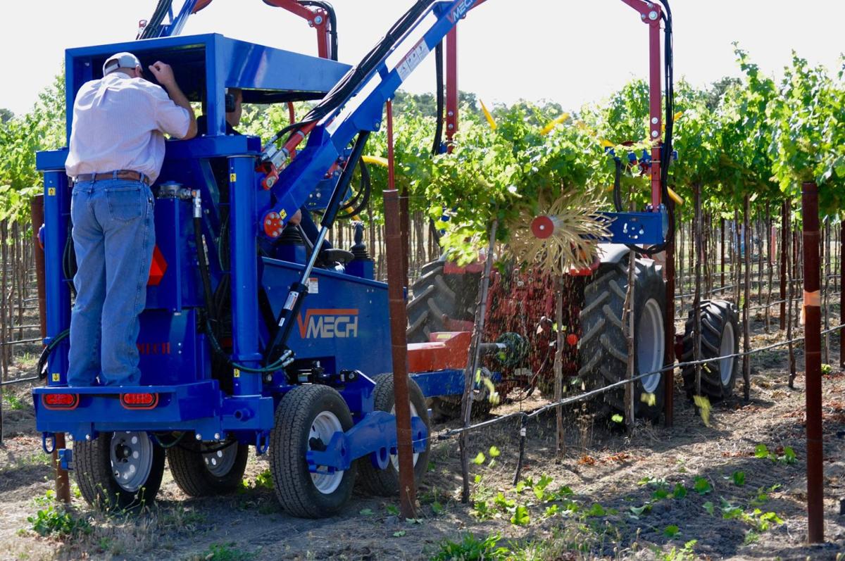 With vineyard labor scarce, Napa growers warm up to machines | Wine ...