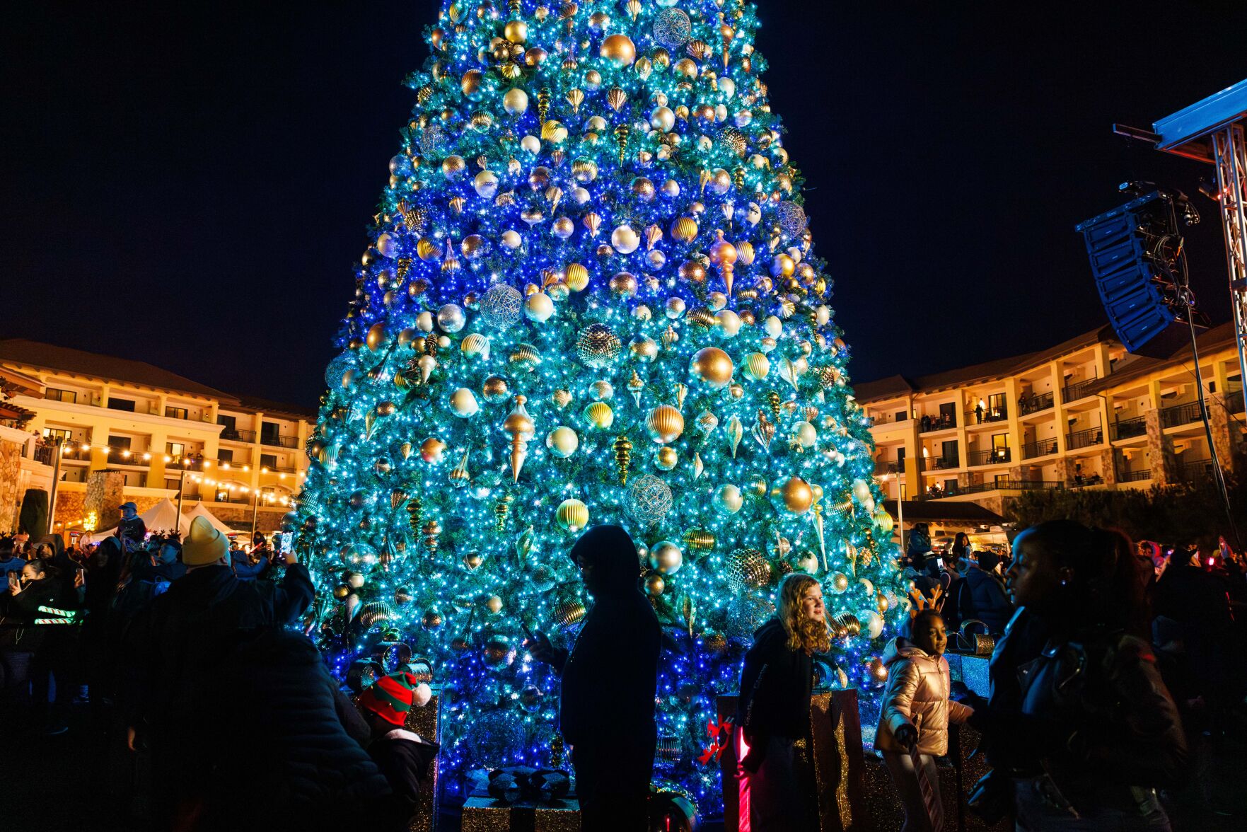 GALLERY: Napa's Merry Meritage Tree Lighting celebration | News ...