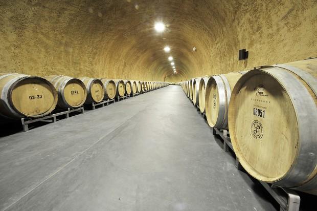 GALLERY: Porter Family Vineyards