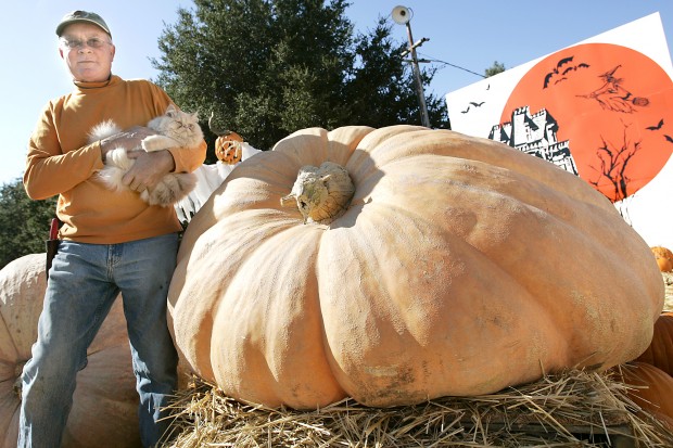 10 Questions for Gary Miller of Miller Landscaping