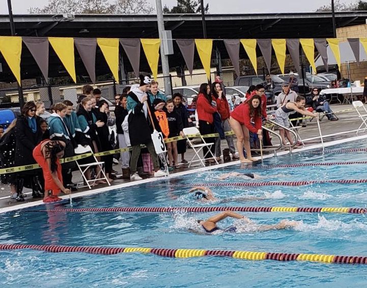 Napa Valley Swim Team: NVST gets 17 top-3 finishes at meet