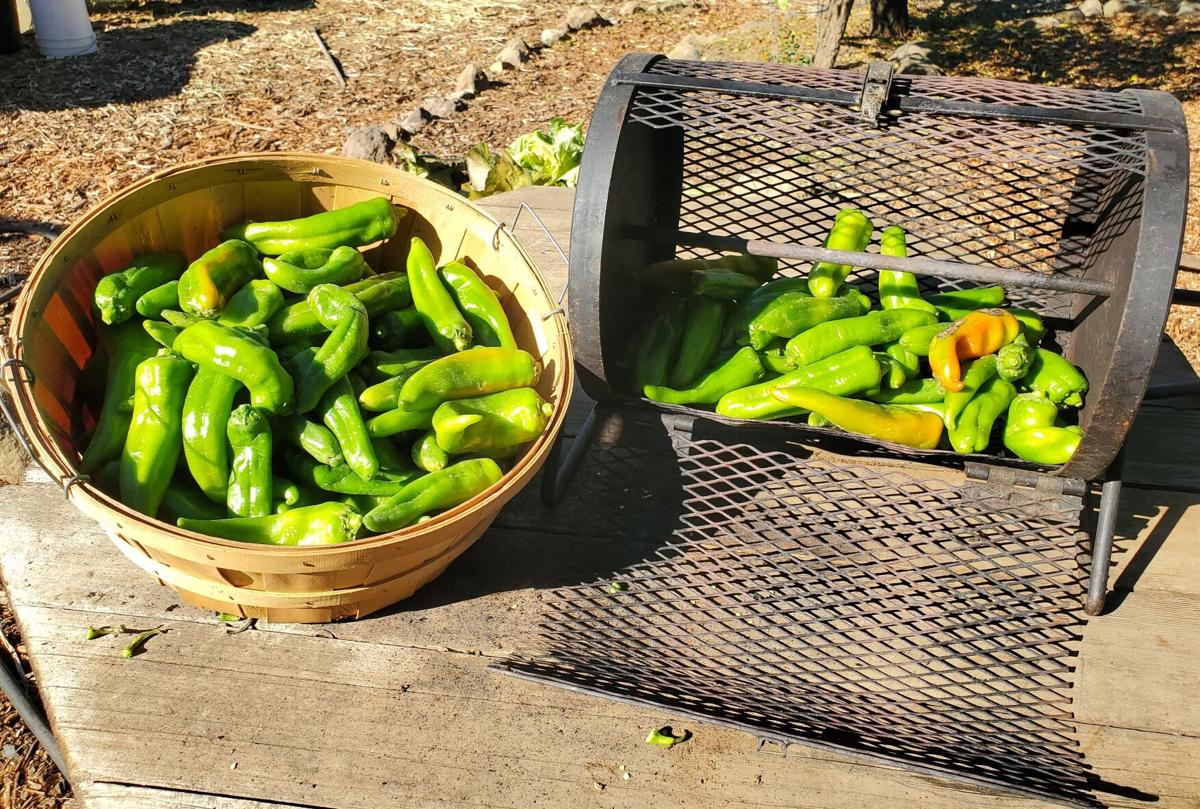 Napa Farmers Market: Visiting farmers markets
