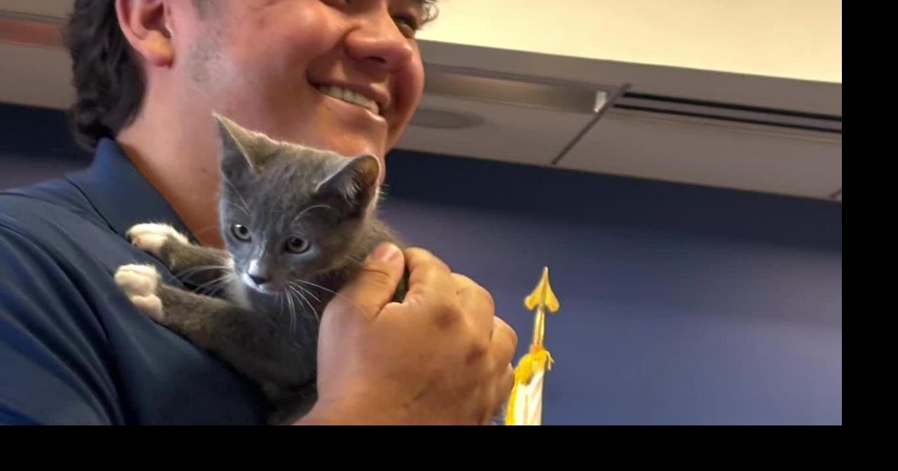 Hugh is Napa County pet of the week | | napavalleyregister.com