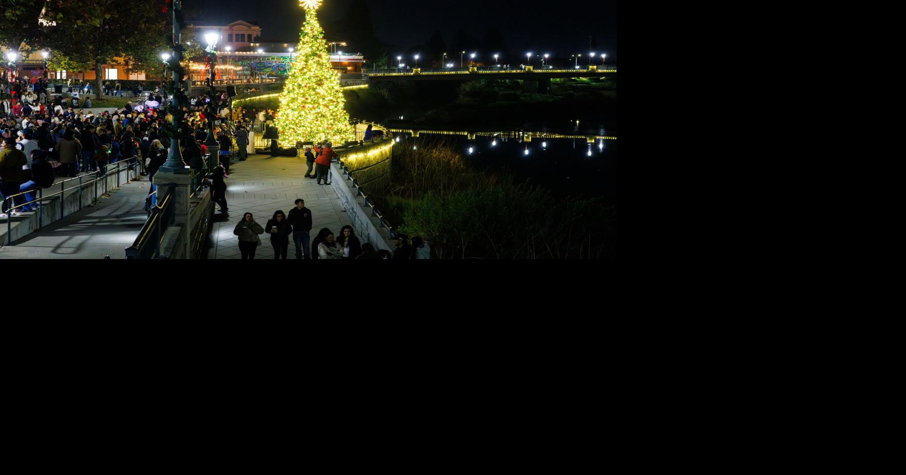 GALLERY: Napa's annual tree lighting ceremony | News ...
