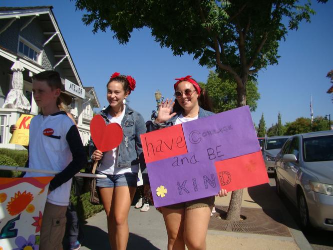 Be Kind: Finkelstein sisters inspire kindness in Napa County through ...