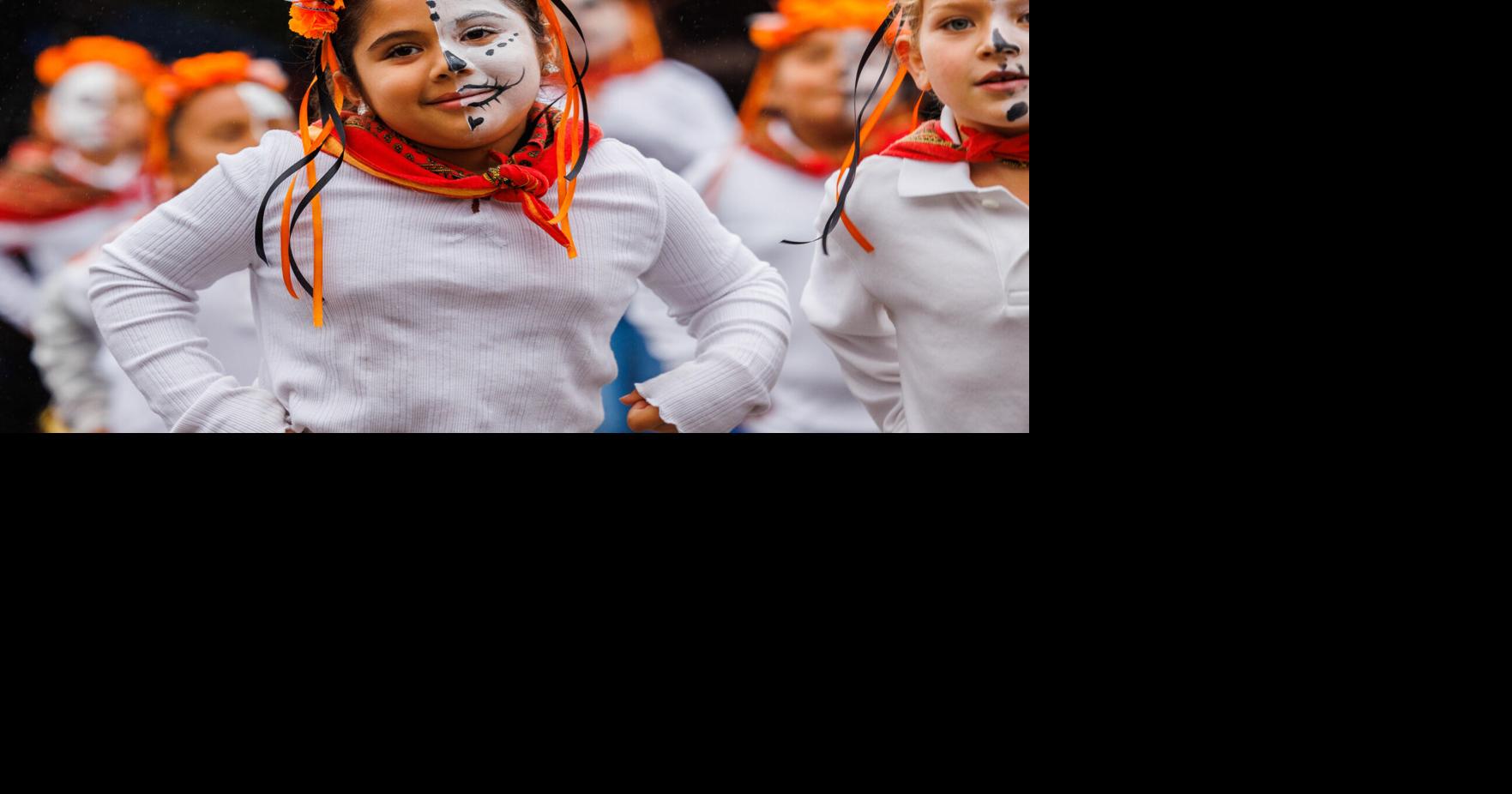 PHOTOS: This Week in Napa Valley, Nov. 11