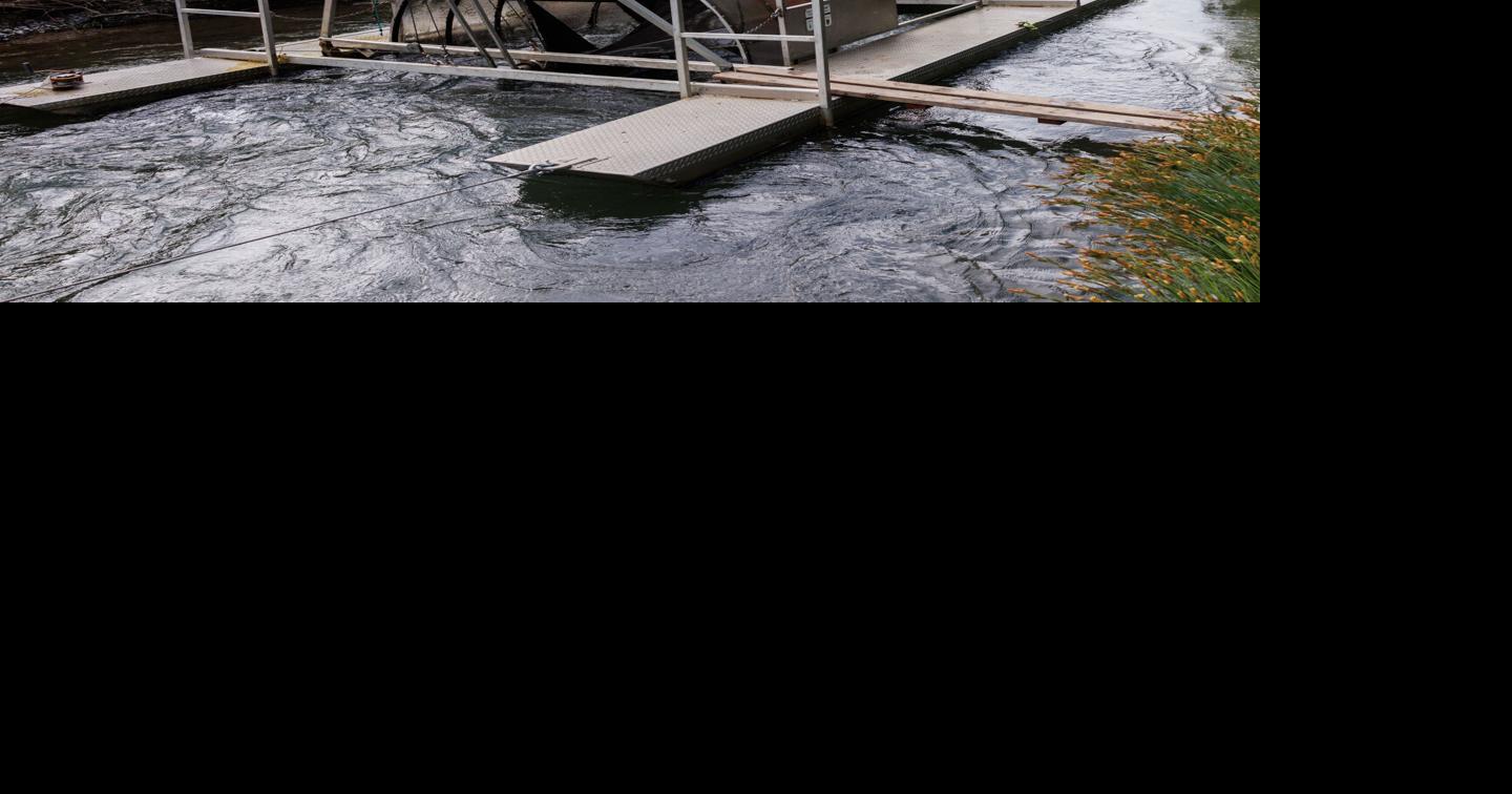 Napa River fish monitored using rotary screw trap | News ...