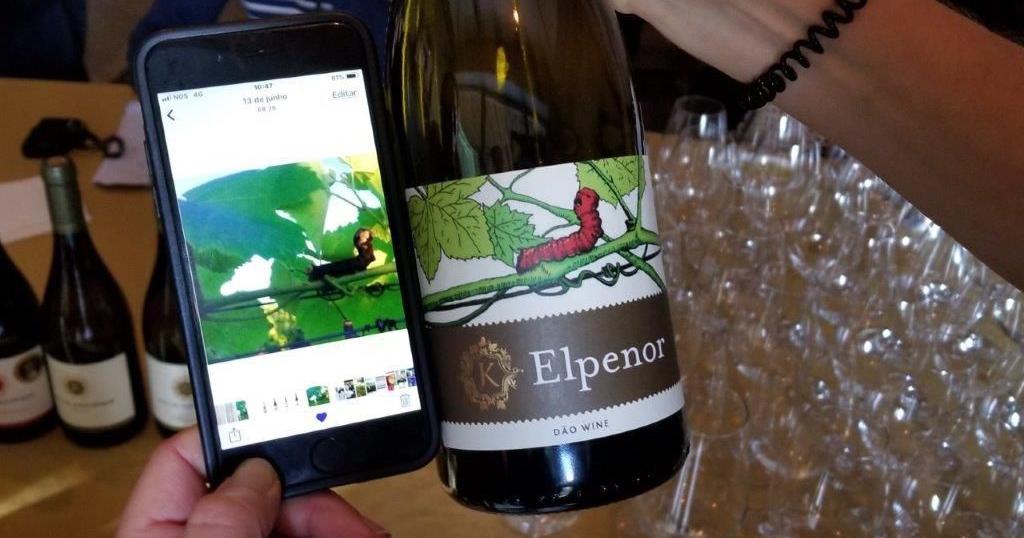 Allison Levine Please The Palate: Understanding the terroir of the Dão ...