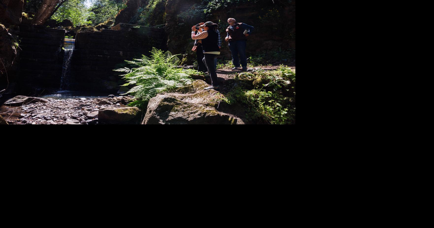 Napa County eyes Camp Coombs for a park. Here's what's there | News ...