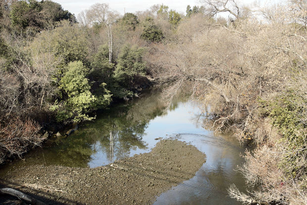 Biologists to study impact of dry conditions on migrating fish