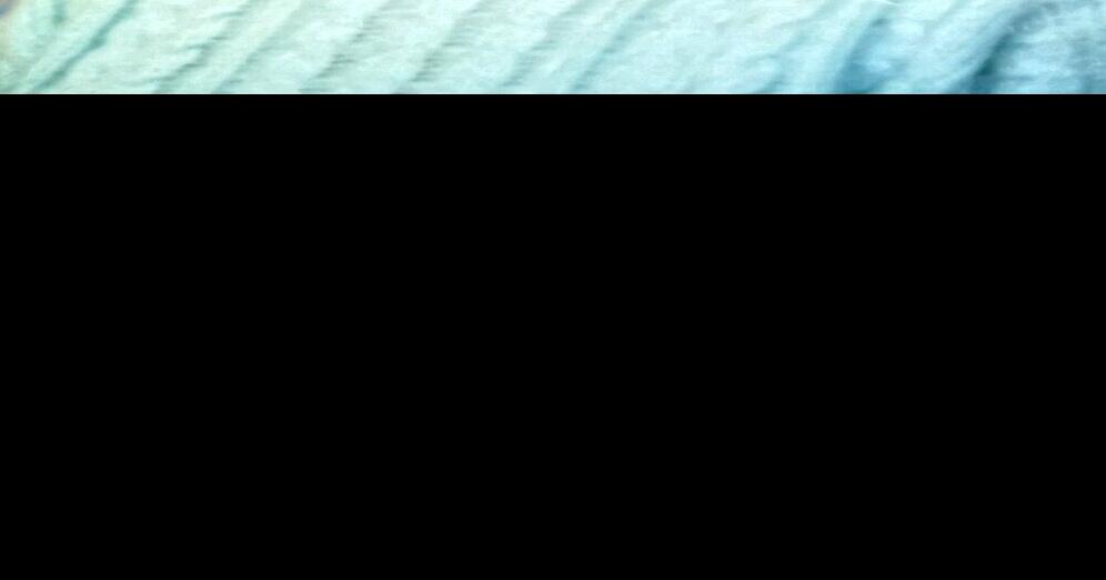 Sharron Elizabeth Creach