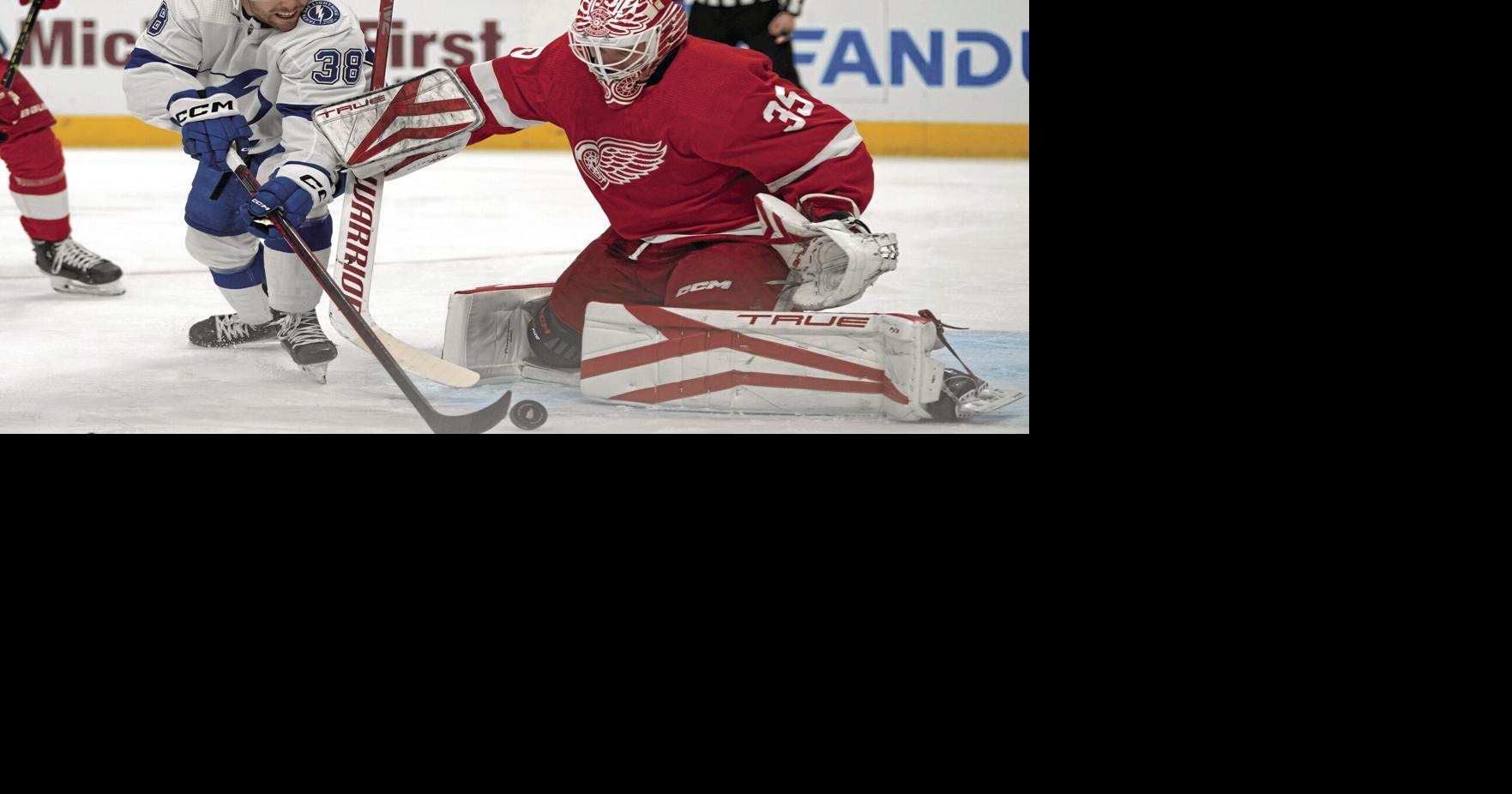 Red Wings top Lightning, end skid | Sports | napavalleyregister.com