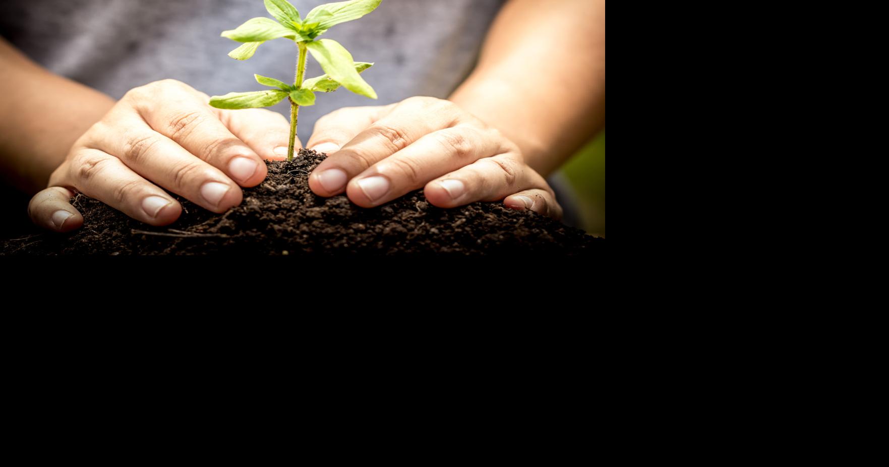 Going green with Napa's Compost Girl | News | napavalleyregister.com