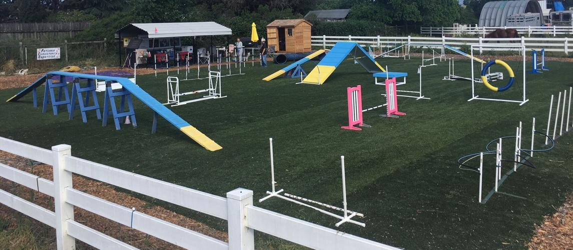 human agility course