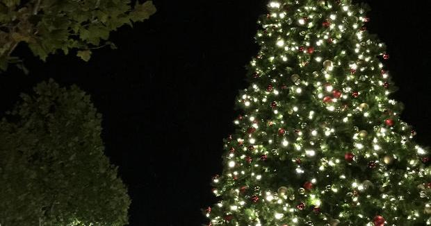 Tree lighting brings holiday glow to Napa | News | napavalleyregister.com