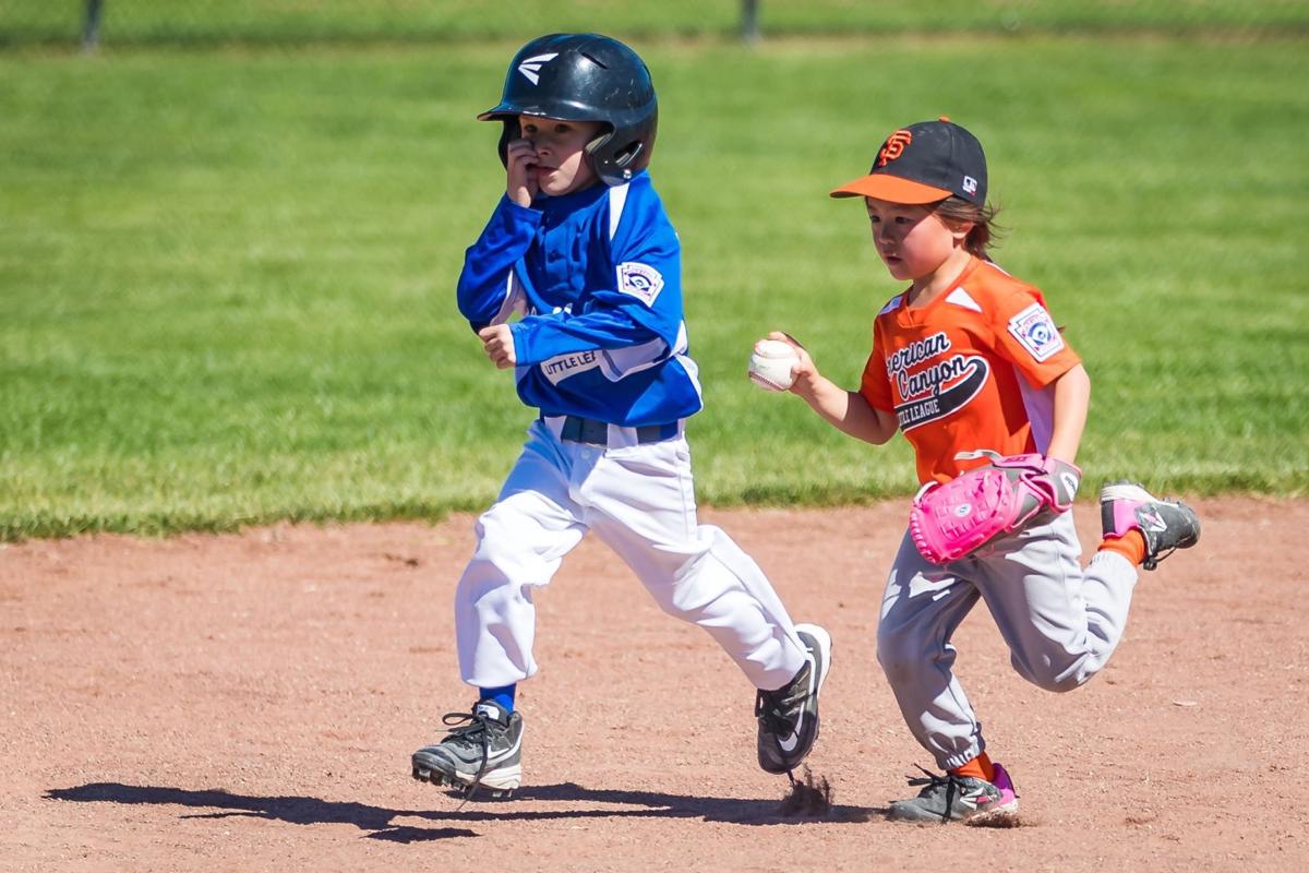 Little League baseball playoffs under way
