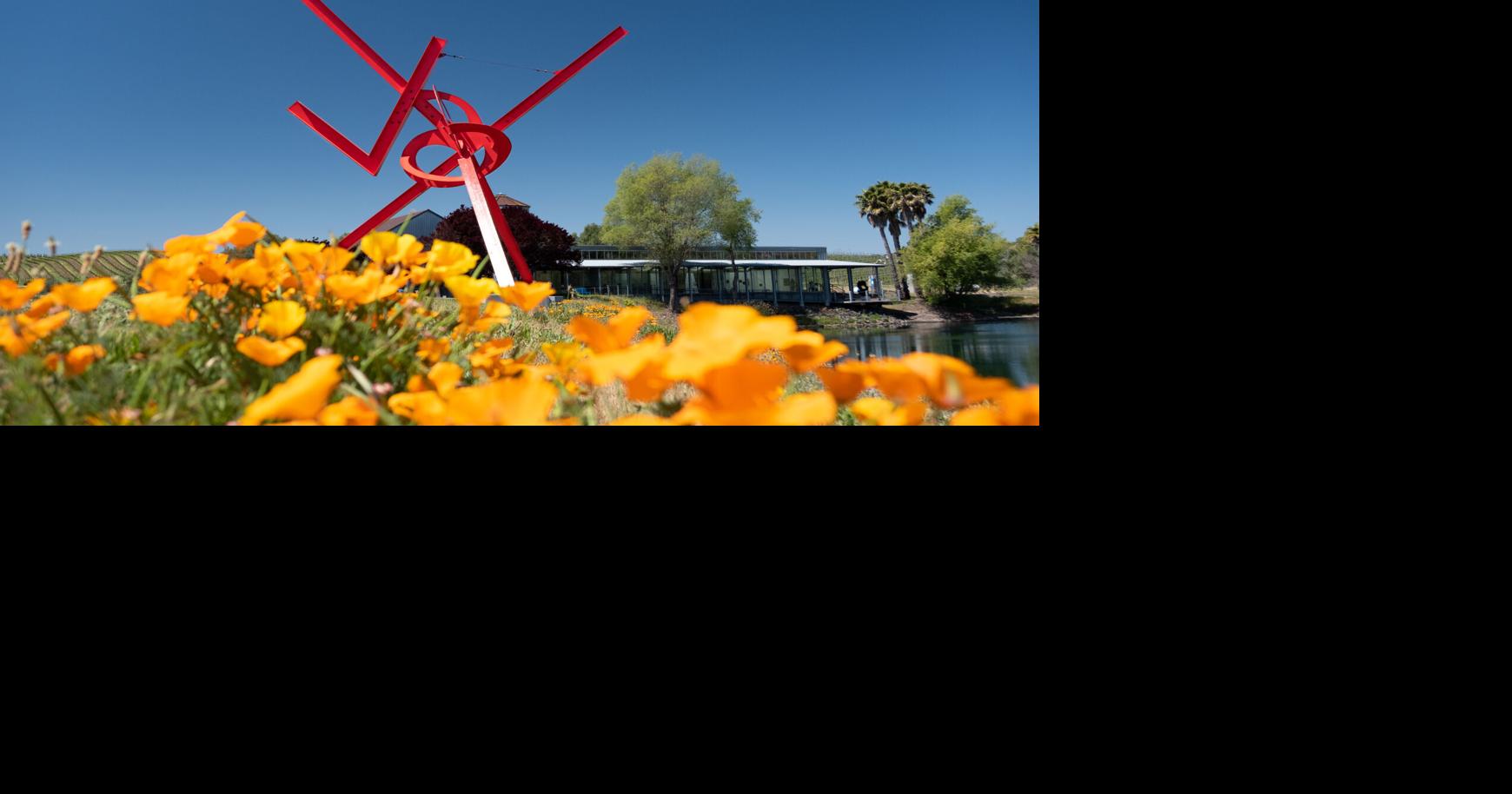 Napa's di Rosa Preserve for sale at $10.9M; art not included | News ...