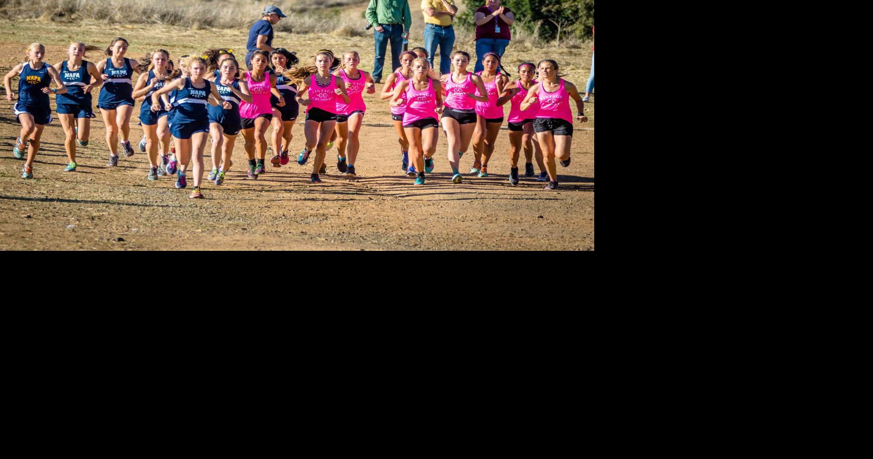 Vintage wins 3 of 4 divisions in Big Game cross country | High-school ...