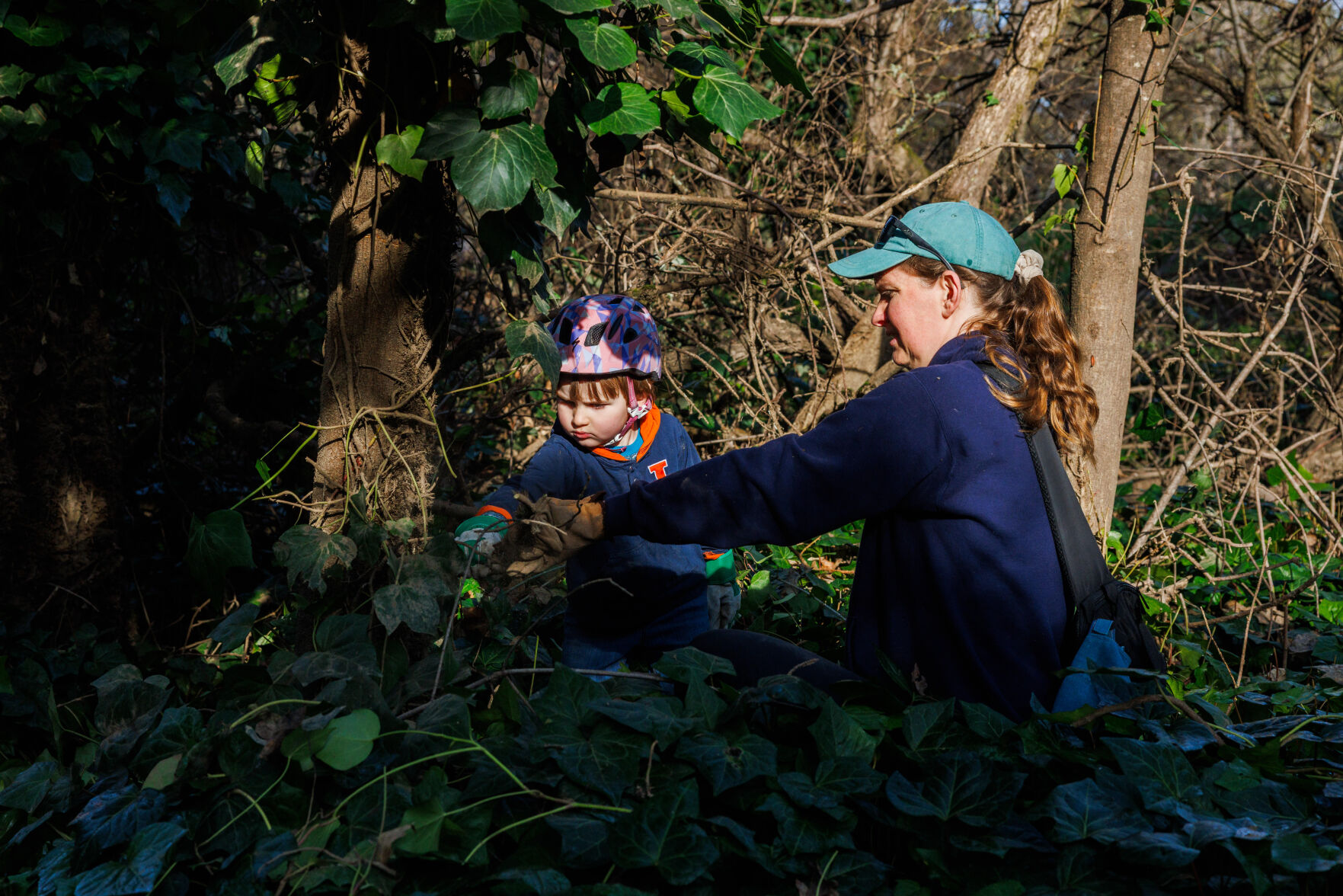 MLK Day Volunteers Clear Ivy Along Napa River | News ...