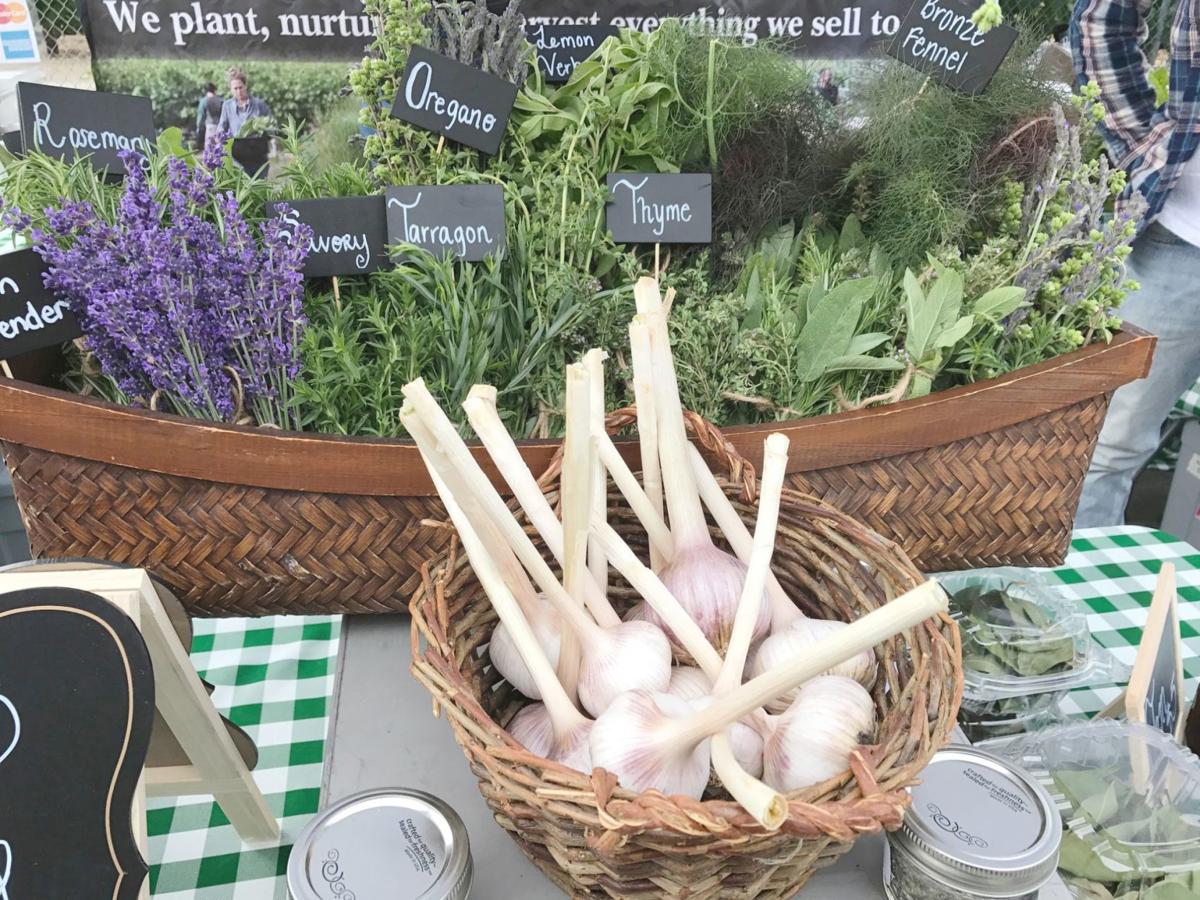 Bright flavors at the CIA’s Farm-to-Table booth at St. Helena Farmers ...